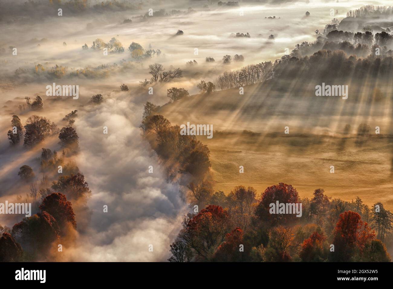 Autumn colors in Adda River, Italy in the mist with beautiful light and ...