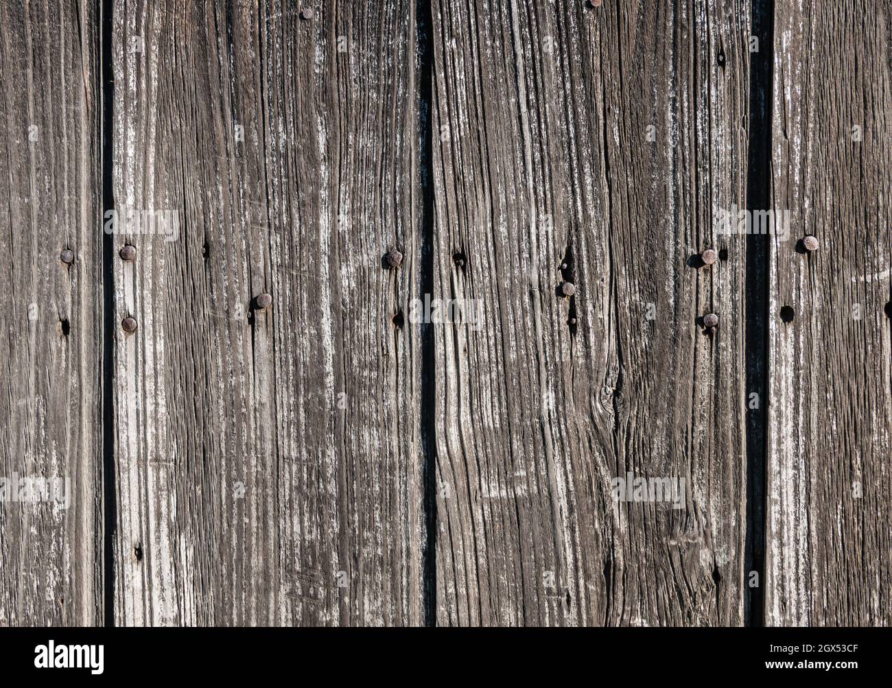 Old wood texture background with rusted nails. Detail of rustic door ...