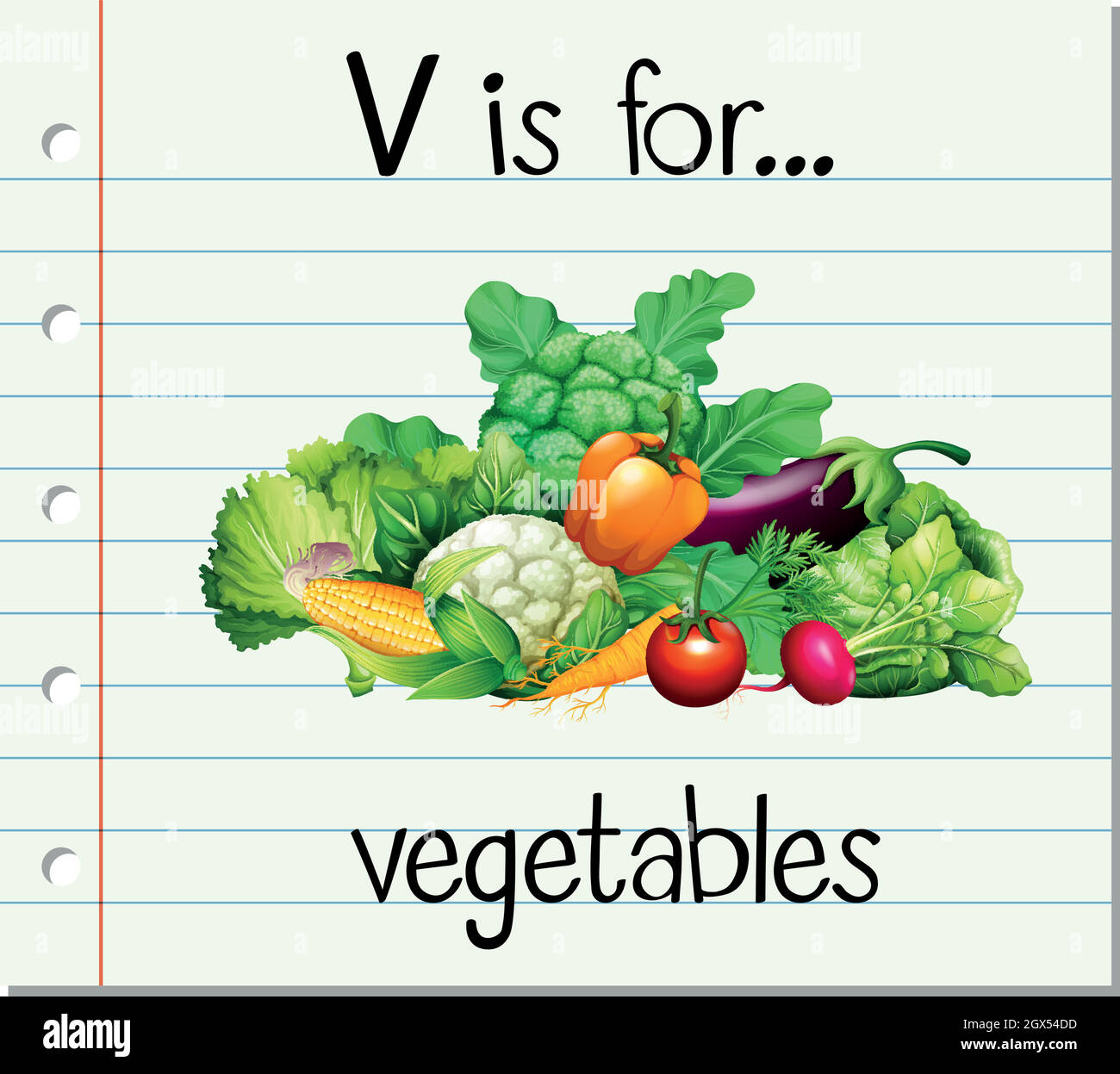 Flashcard letter V is for vegetables Stock Vector Image & Art - Alamy