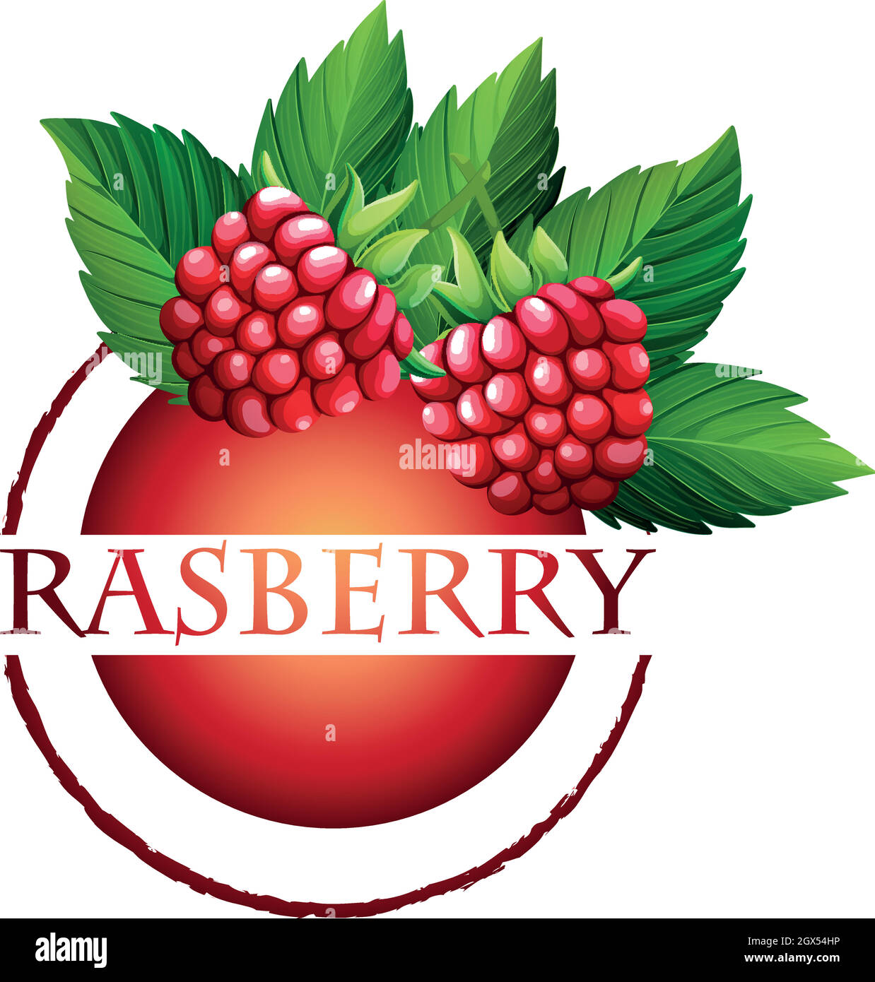 Label design with word raspberry Stock Vector Image & Art - Alamy
