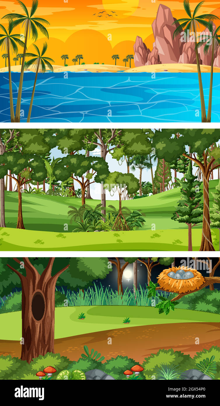 Set of different forest horizontal scenes in different times Stock ...