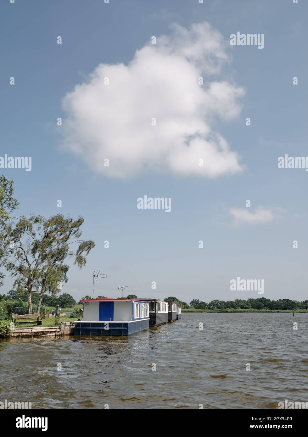 Moored house boats / houseboats on Hickling Broad on the Norfolk Broads ...