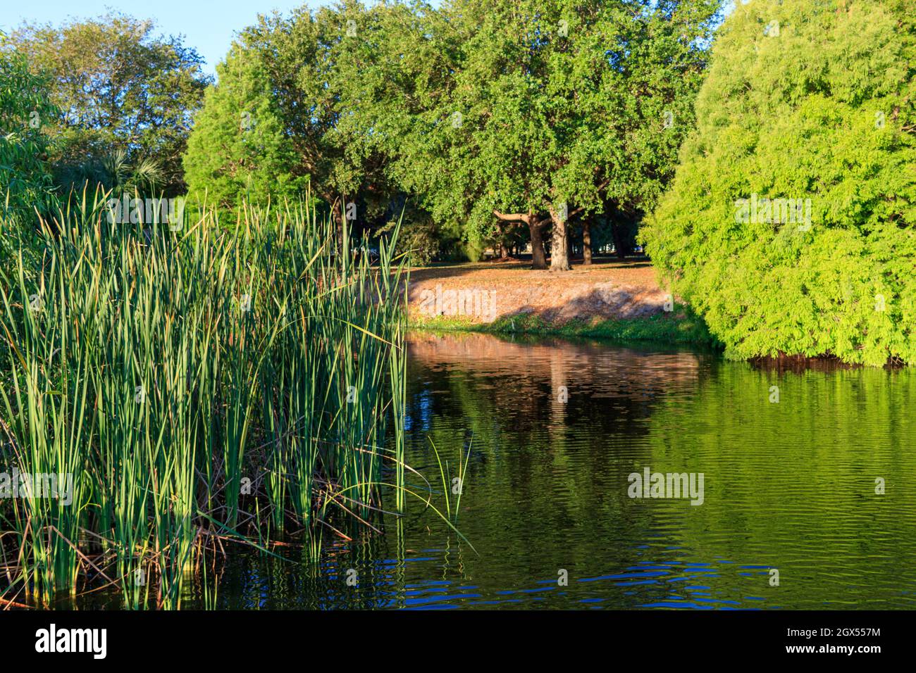 Bobby Hicks Park, South Tampa Stock Photo - Alamy