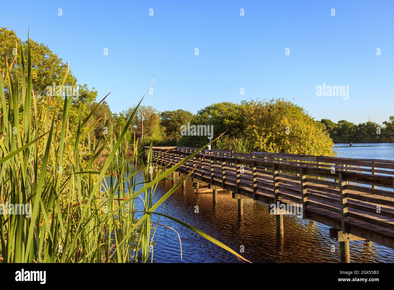 Bobby hicks park hi-res stock photography and images - Alamy