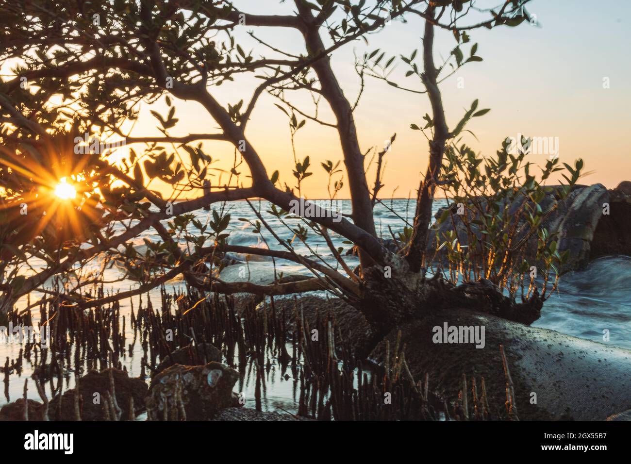 Beautiful florida beach scene shot hi-res stock photography and images ...