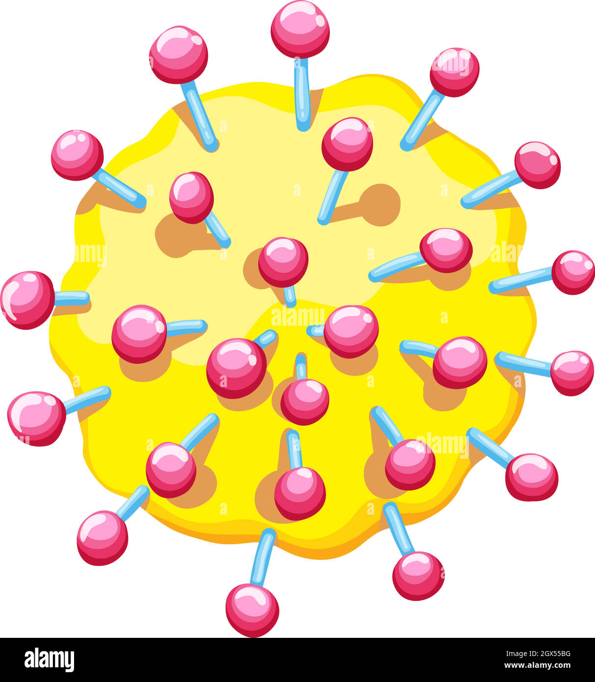 Animal Cell Drawing Stock Vector Images - Alamy