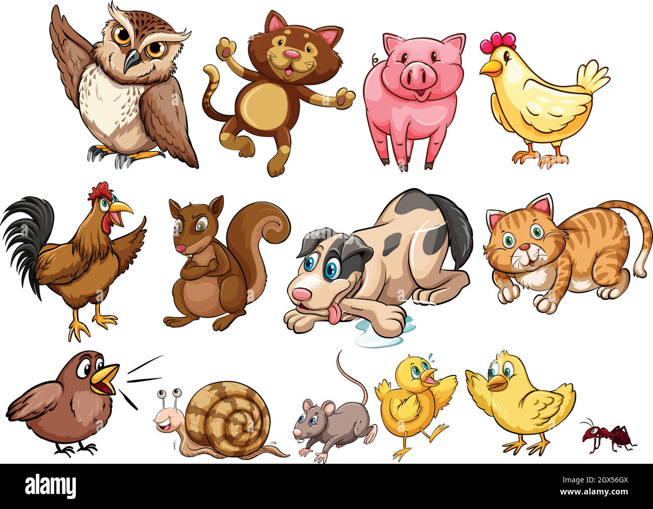 Different type of farm animal and pet Stock Vector Image & Art - Alamy