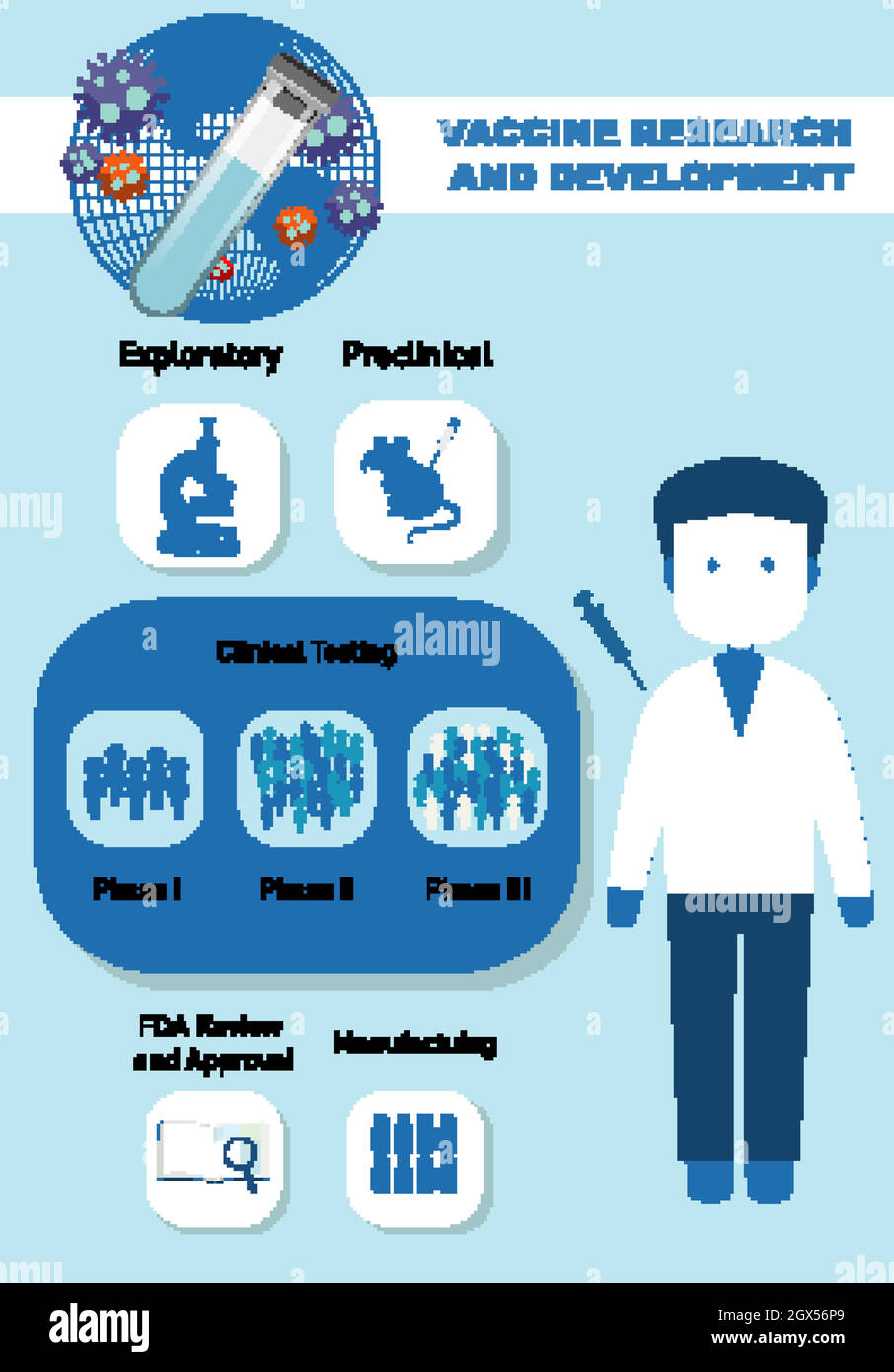 Vaccine research and development infographic Stock Vector Image & Art ...