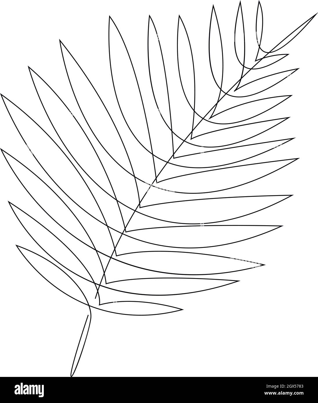 Palm leaf - one line drawing. Continuous line exotic plant. Hand-drawn ...