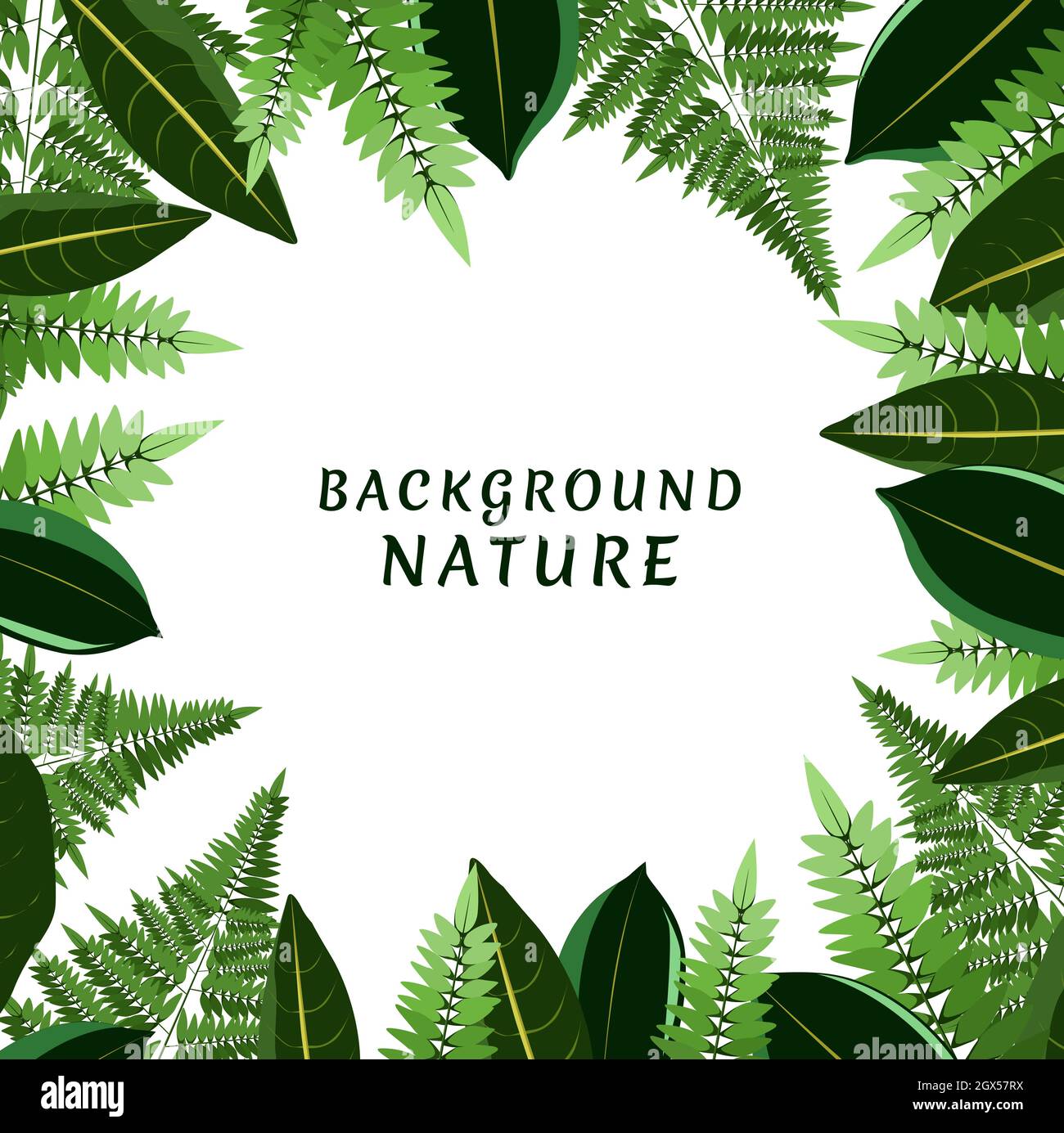 A nature jungle template illustration Stock Vector Images - Alamy
