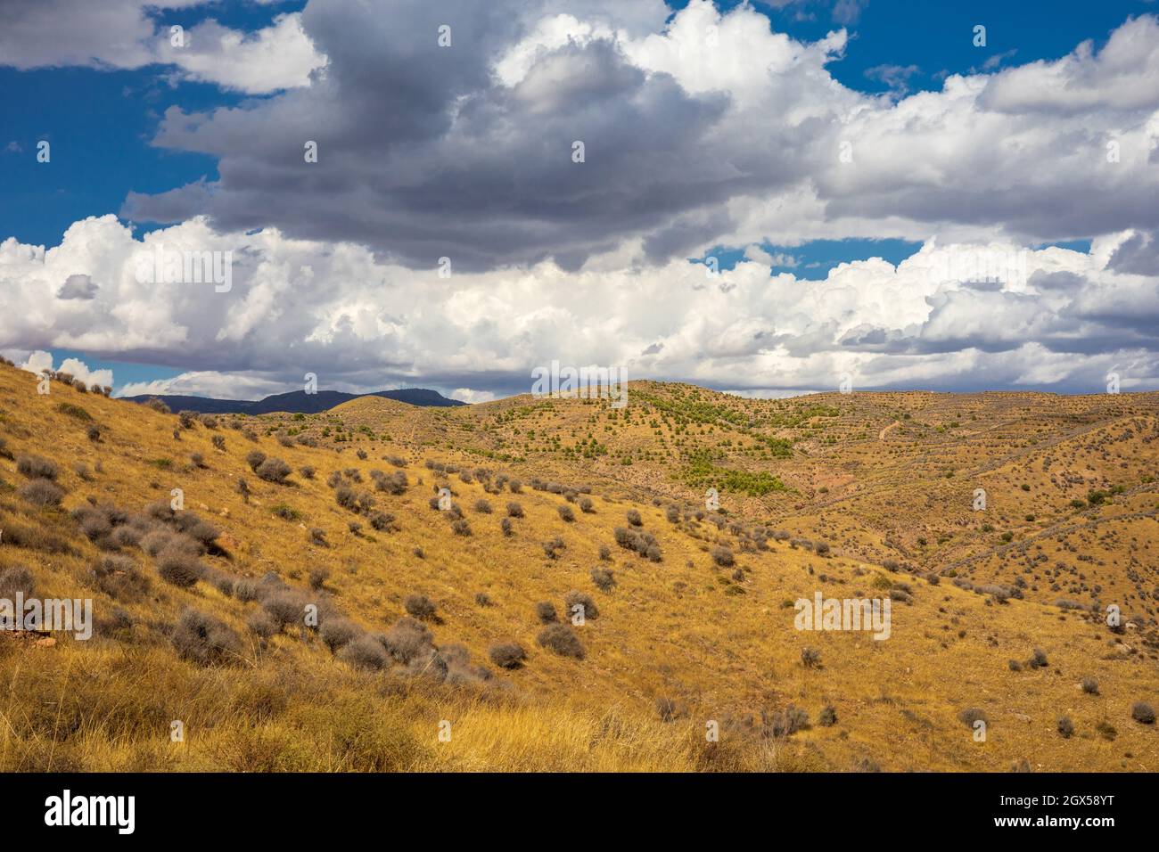 Partaloa hi-res stock photography and images - Alamy