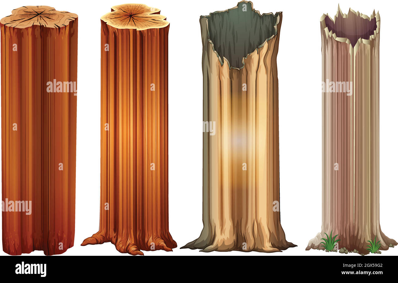 Growing tree stumps Stock Vector Image & Art - Alamy