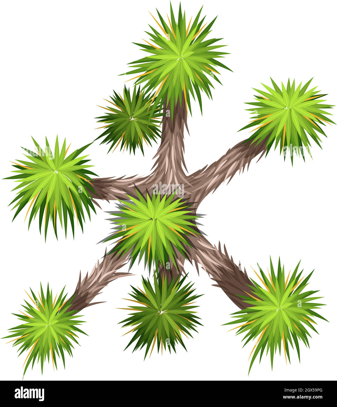 Yucca trunk Stock Vector Images - Alamy