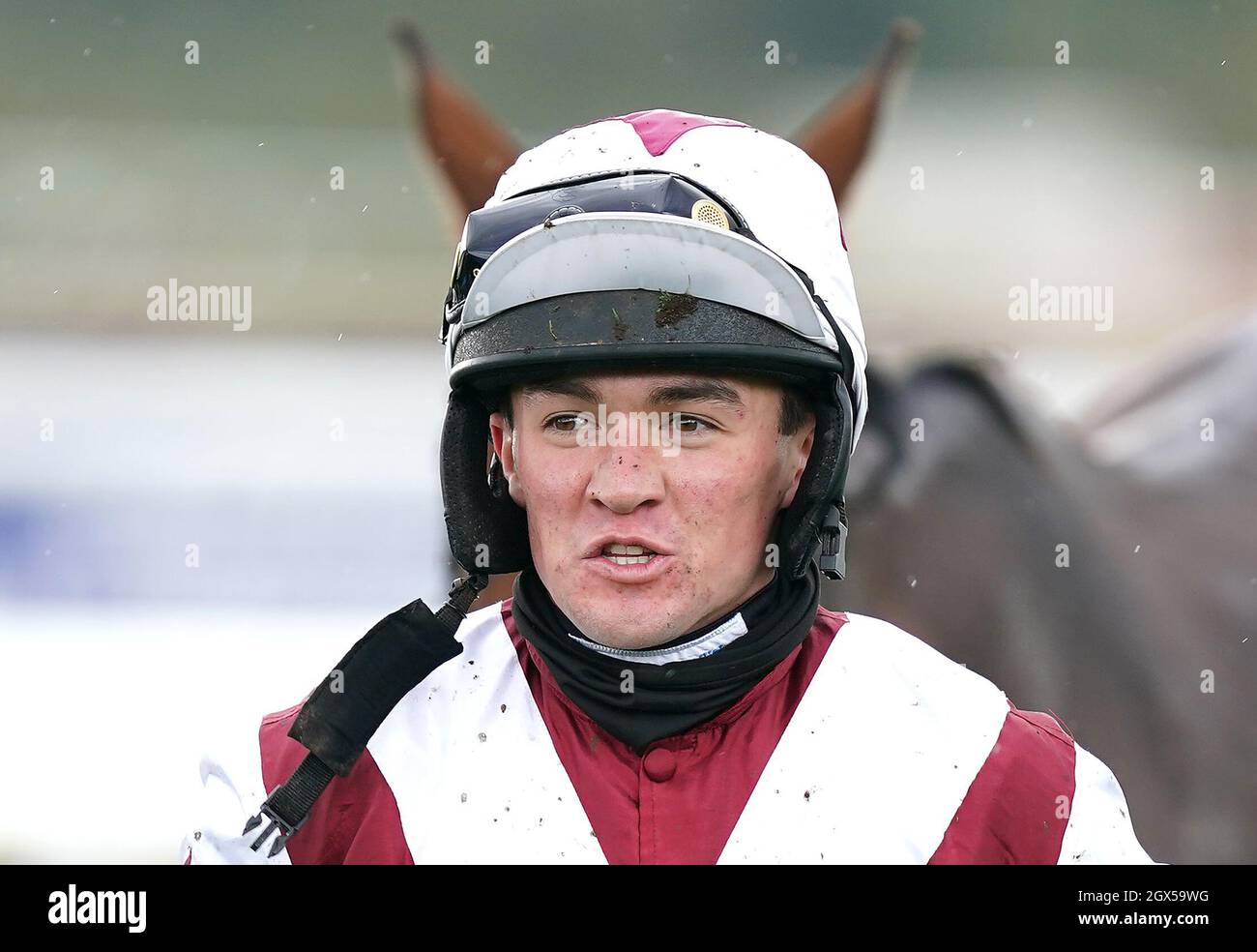 Jockey horse funny hi-res stock photography and images - Alamy
