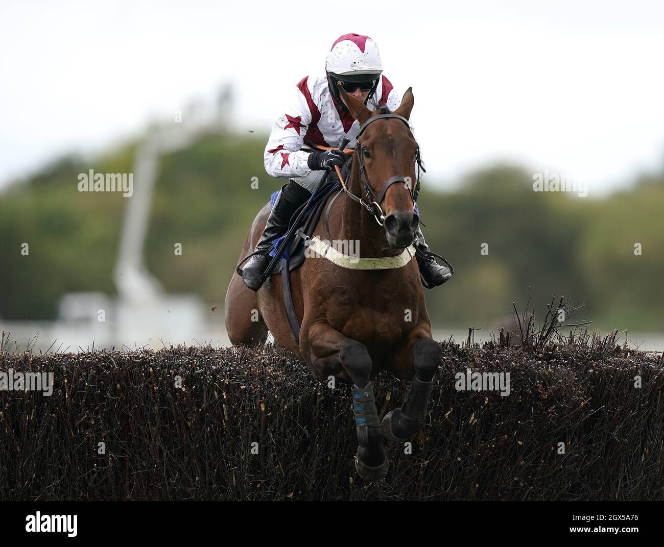Jockey horse funny hi-res stock photography and images - Alamy