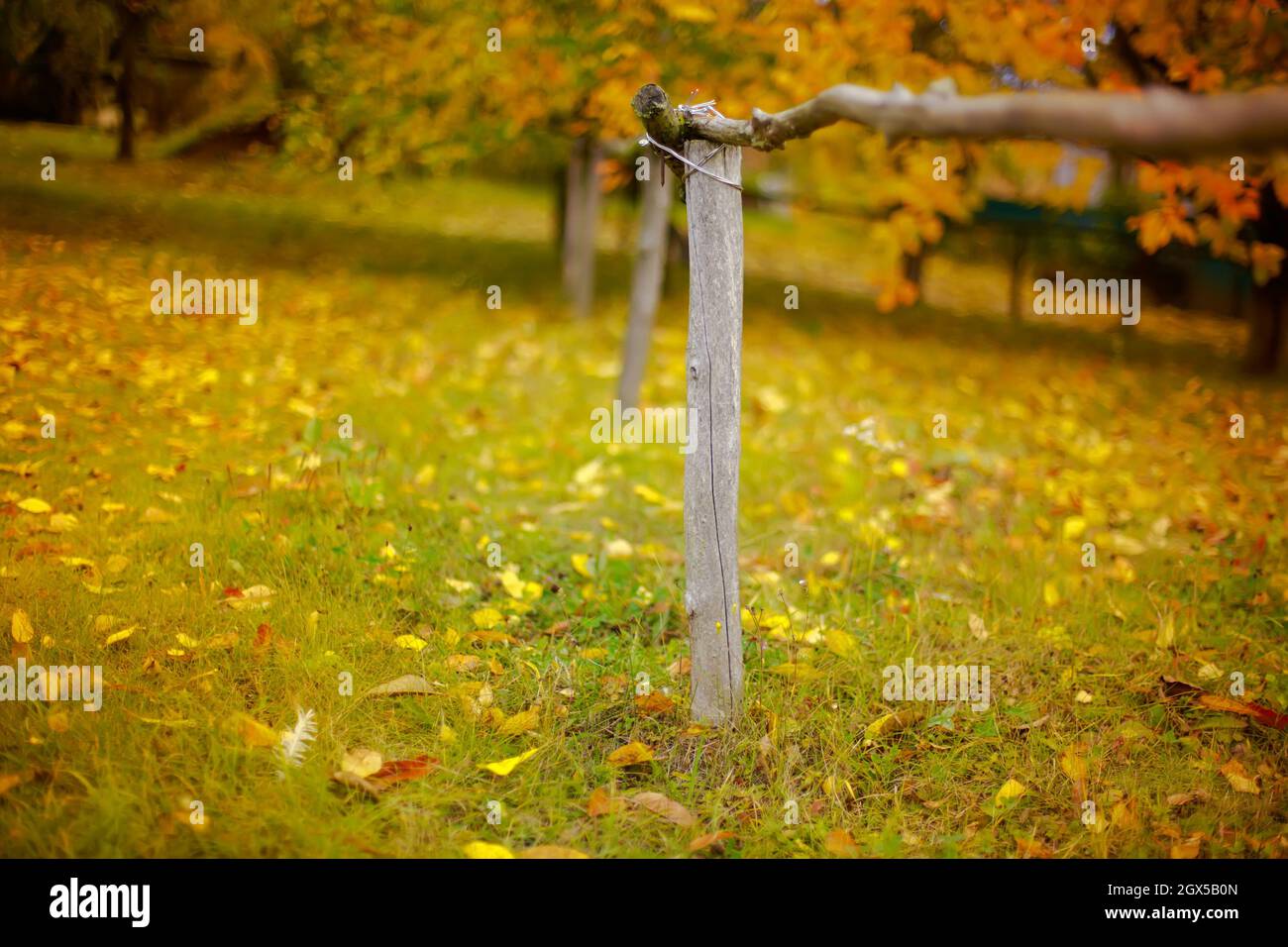 Wooden fence in village against the background of the autumn landscape ...