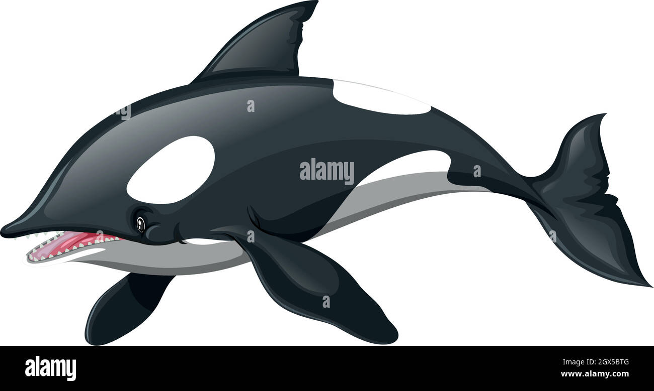Whale with happy face Stock Vector Image & Art - Alamy