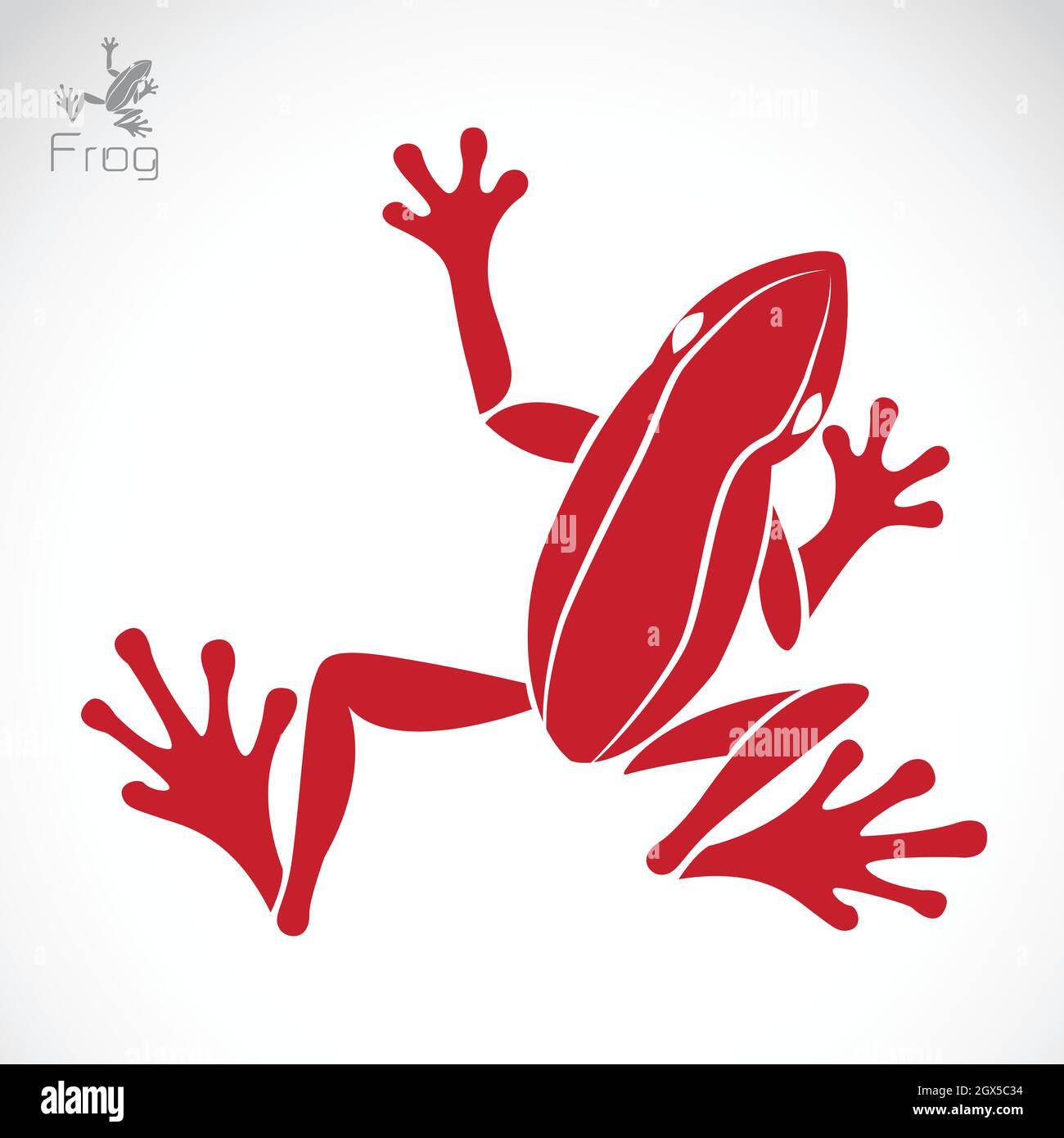 Vector image of a frog on white background. Easy editable layered ...