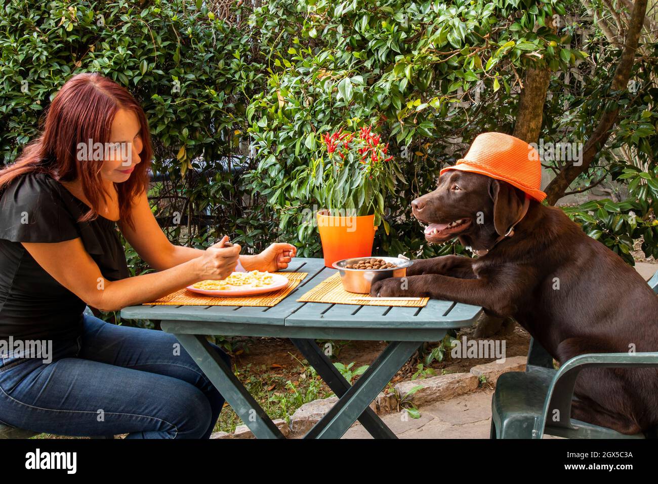 woman having dinner at the table with a dog wearing a hat, comic photo ...