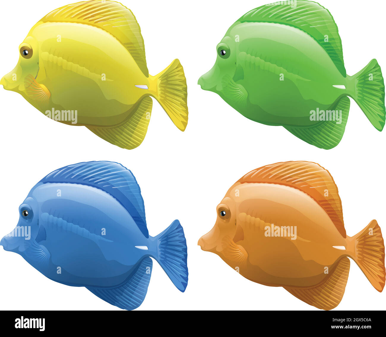 Fish of many colors Stock Vector Images - Alamy