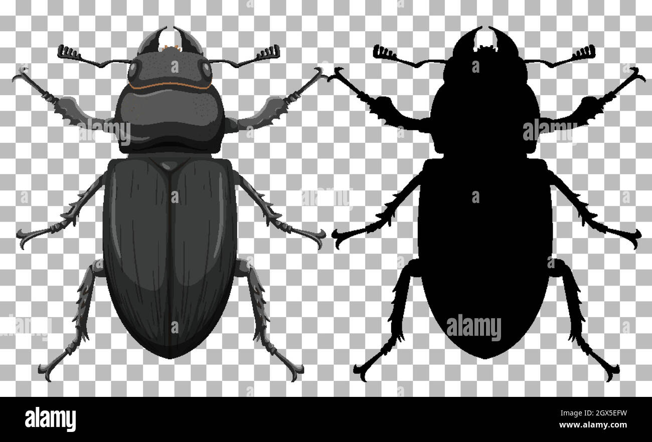 Aerial view on transparent Stock Vector Images - Alamy