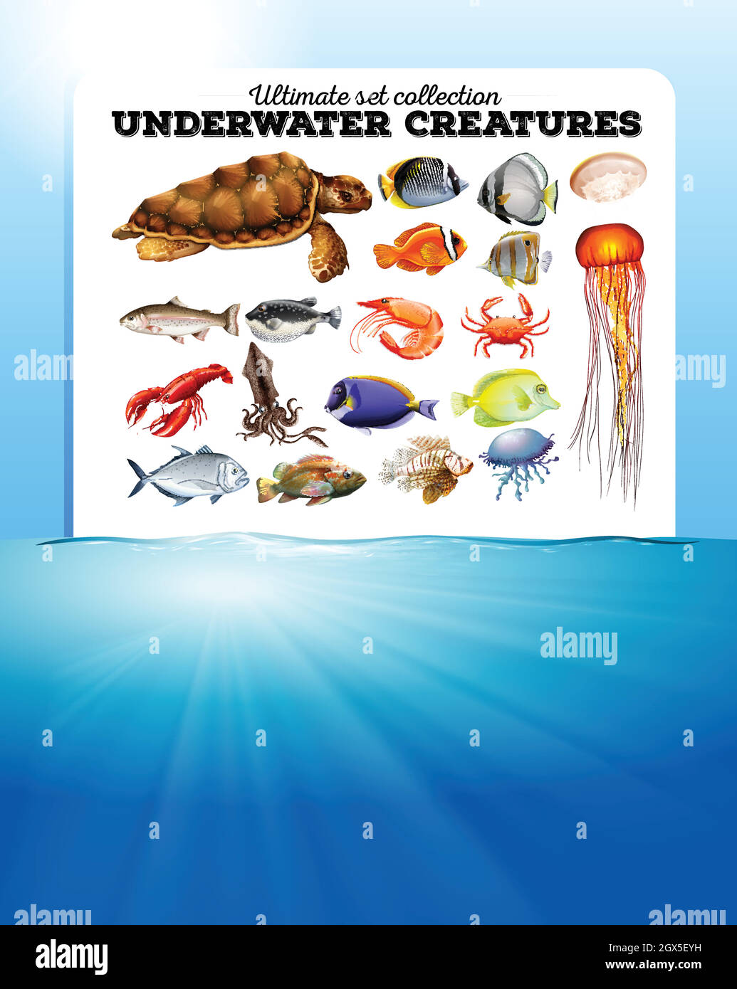 Crab animal animals wildlife wild Stock Vector Images - Alamy