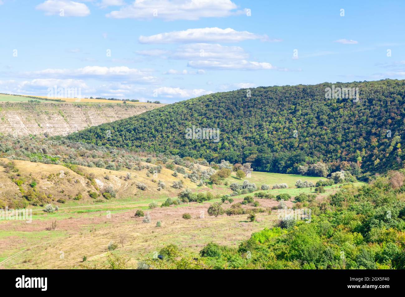 Green landscape with hills and forest . Spectacular nature in the ...