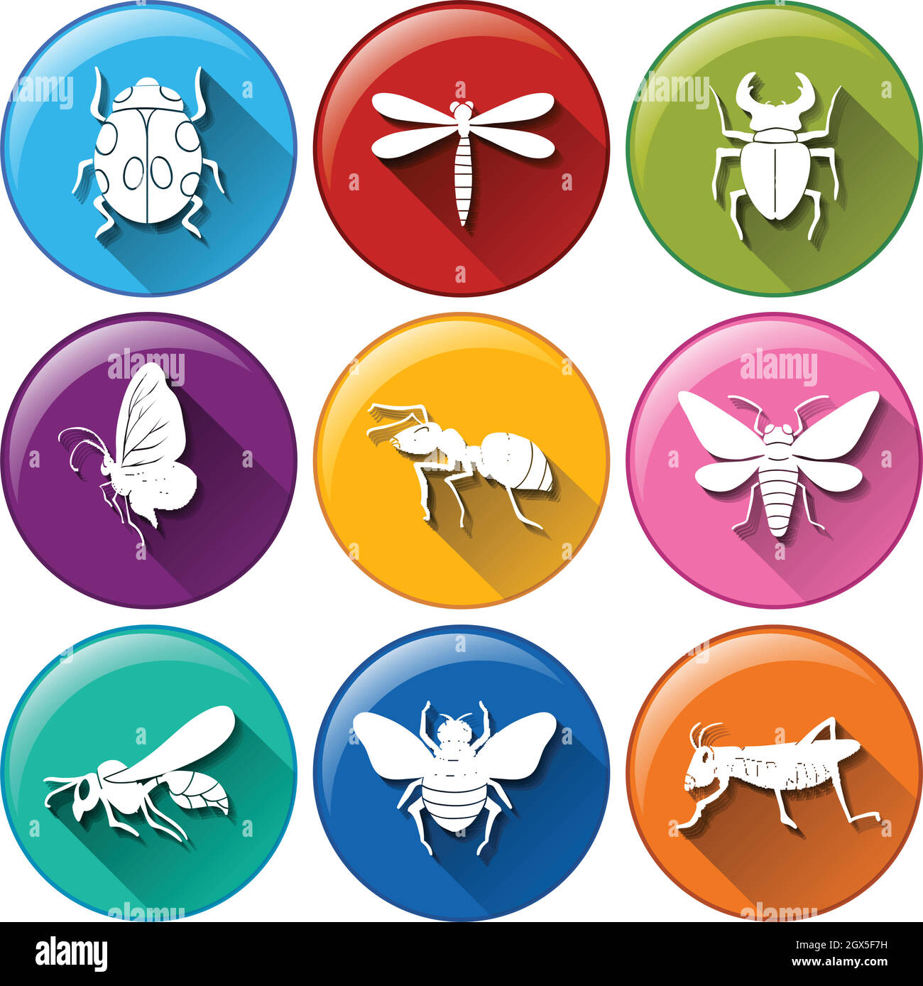 Insect clipart hi-res stock photography and images - Alamy