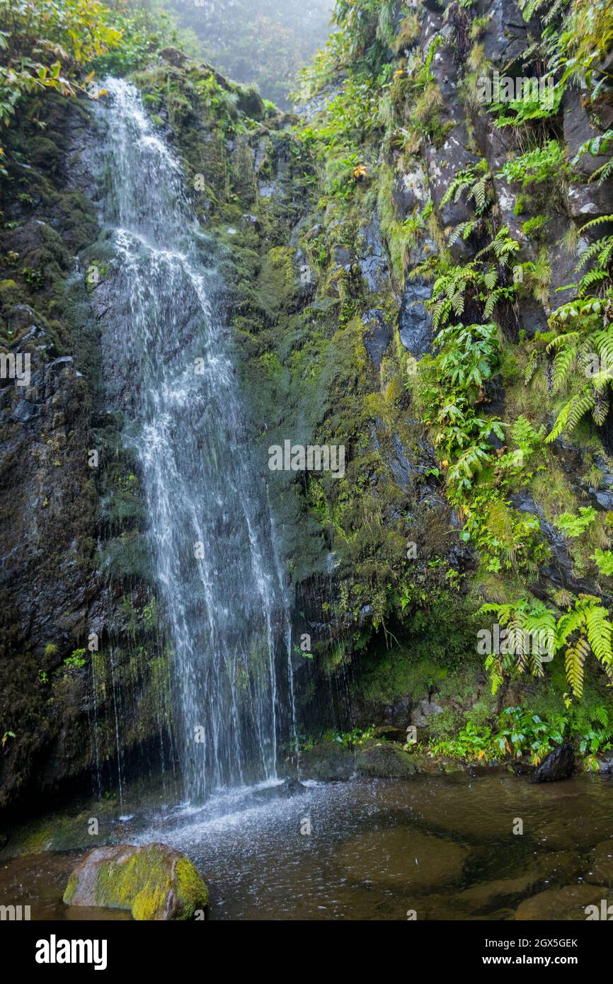 Azores waterfalls and cliffs in Flores island. Portugal Stock Photo - Alamy