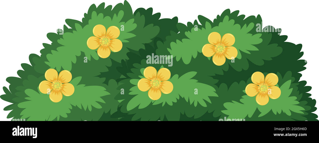 Yellow outside Stock Vector Images - Alamy