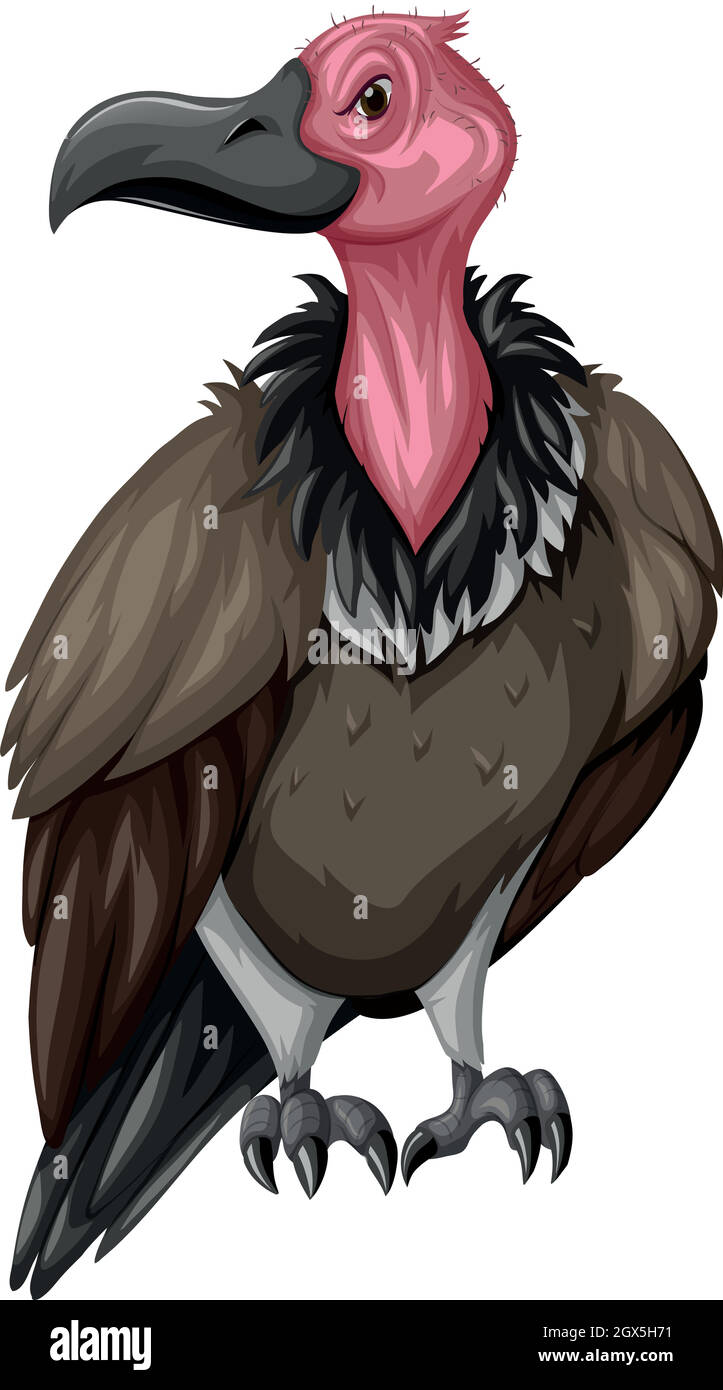 Vulture clip art hi-res stock photography and images - Alamy