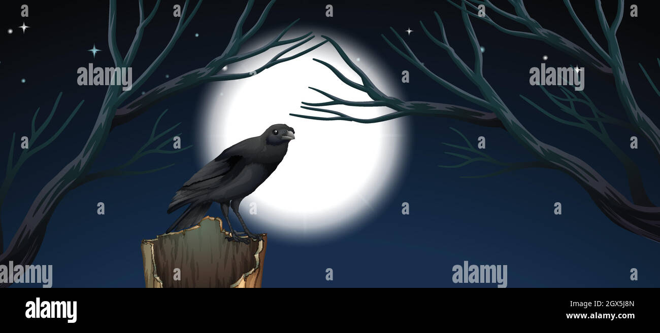 Bird in night scene Stock Vector Image & Art - Alamy