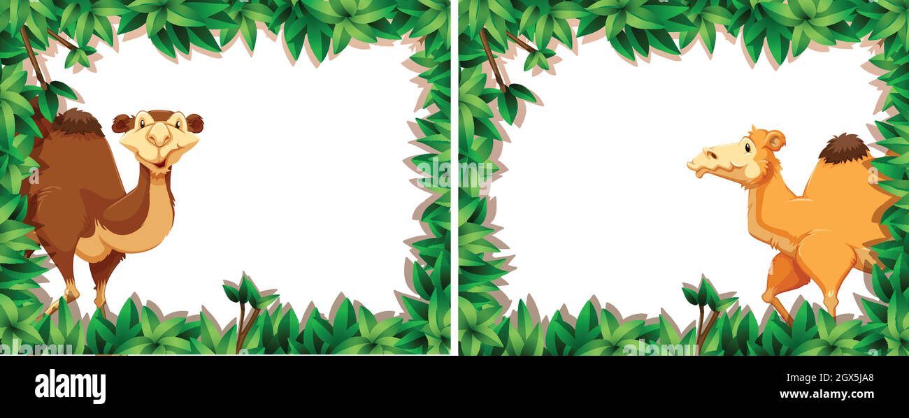 Set of camel in nature frame Stock Vector Image & Art - Alamy