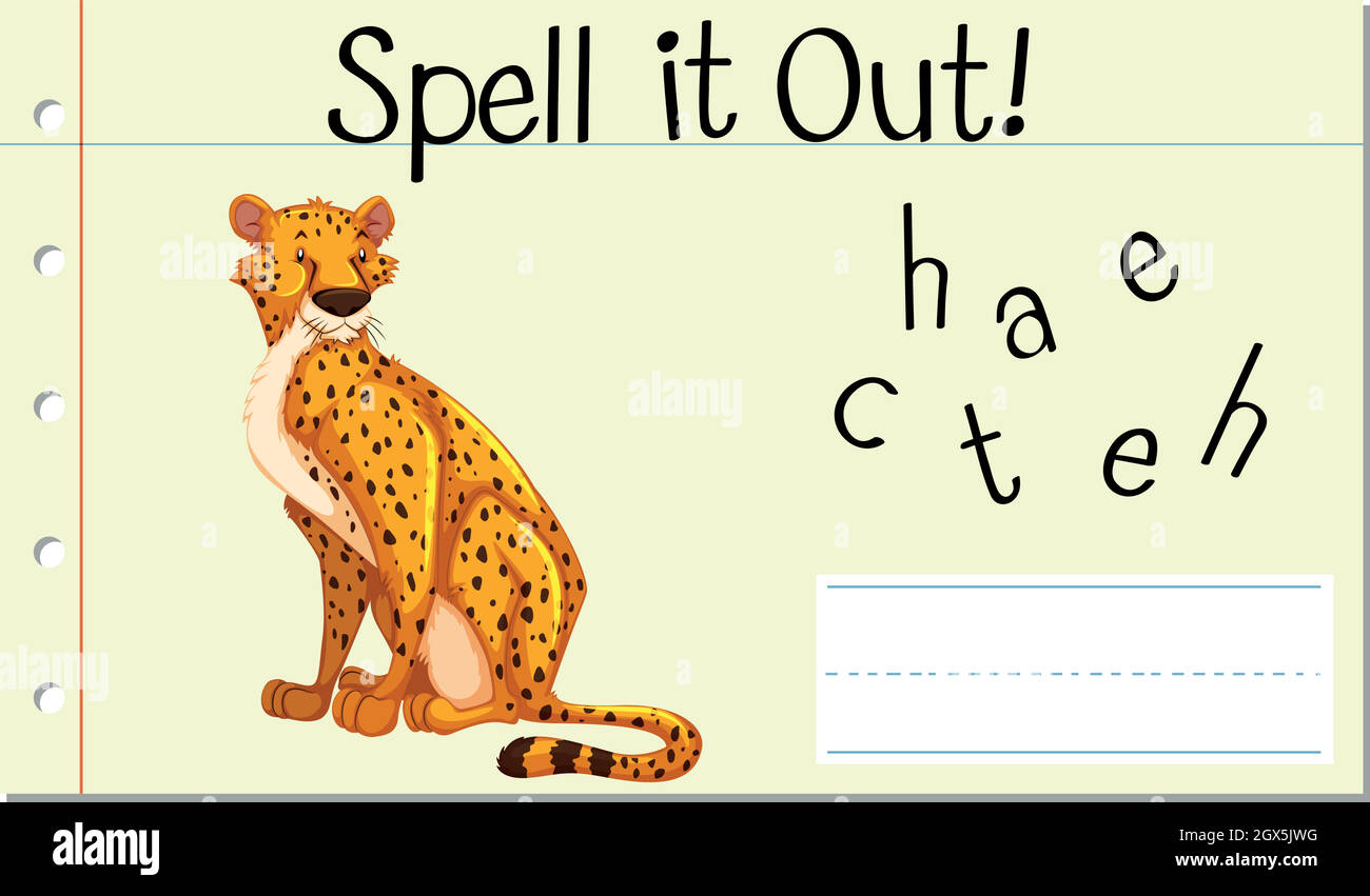 Spell English word cheetah Stock Vector Image & Art - Alamy