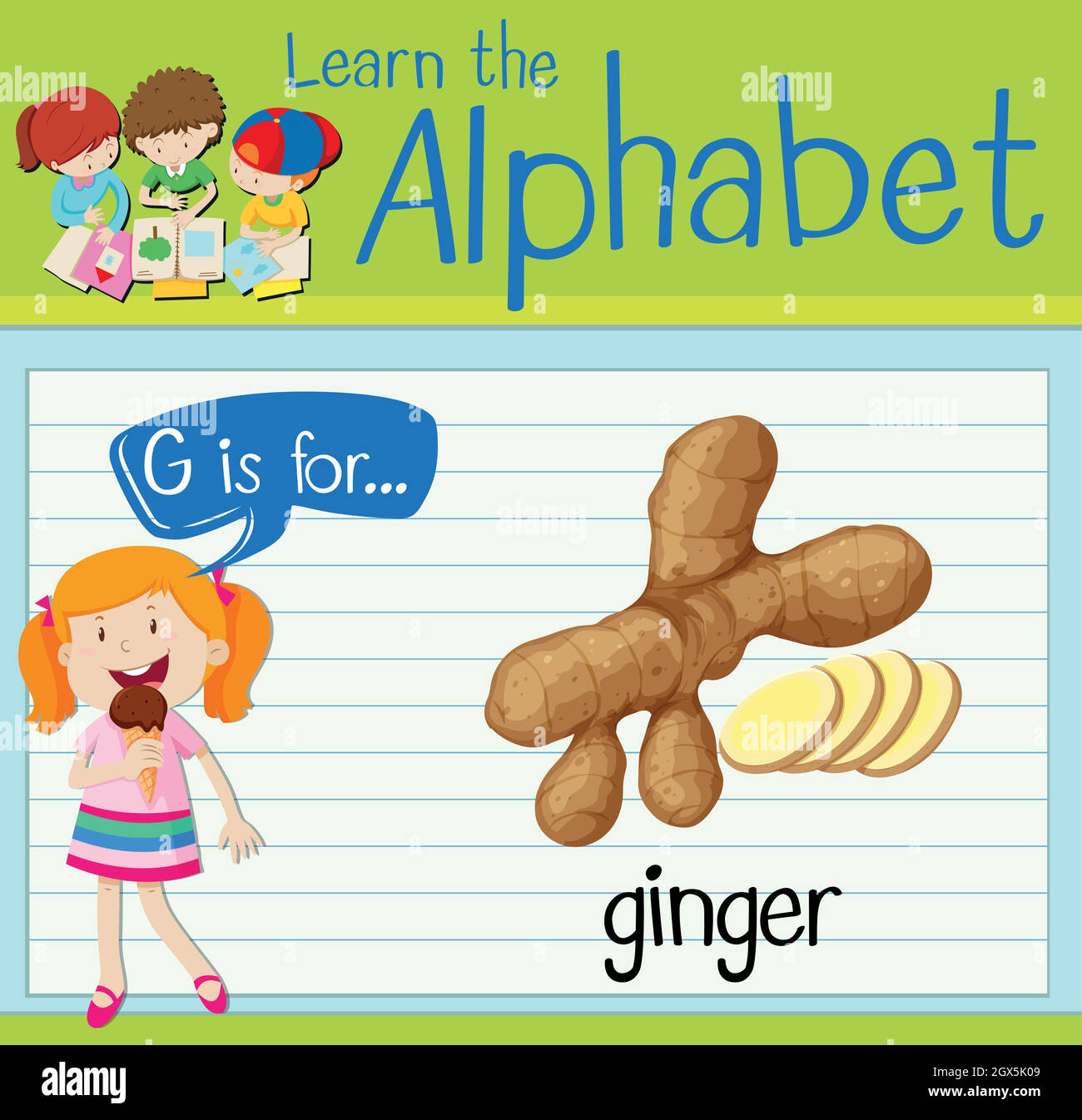 Flashcard letter G is for ginger Stock Vector Image & Art - Alamy