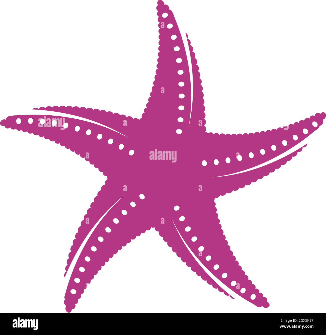 Starfish Vector Design