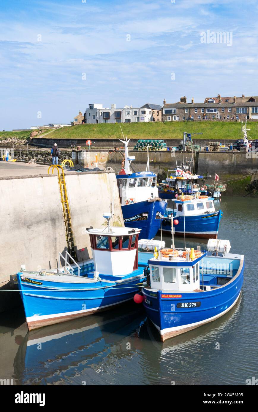 Northumberland bird town hi-res stock photography and images - Alamy