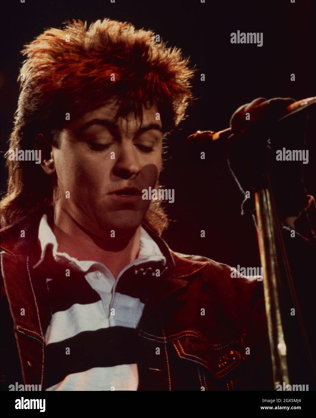 London, UK. LIBRARY. Singer Paul Young. Paul Young & The Royal Family ...