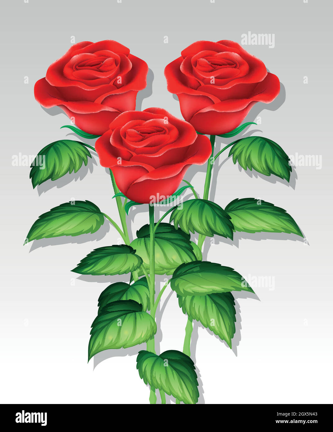 Red roses in vintage Stock Vector Images - Alamy