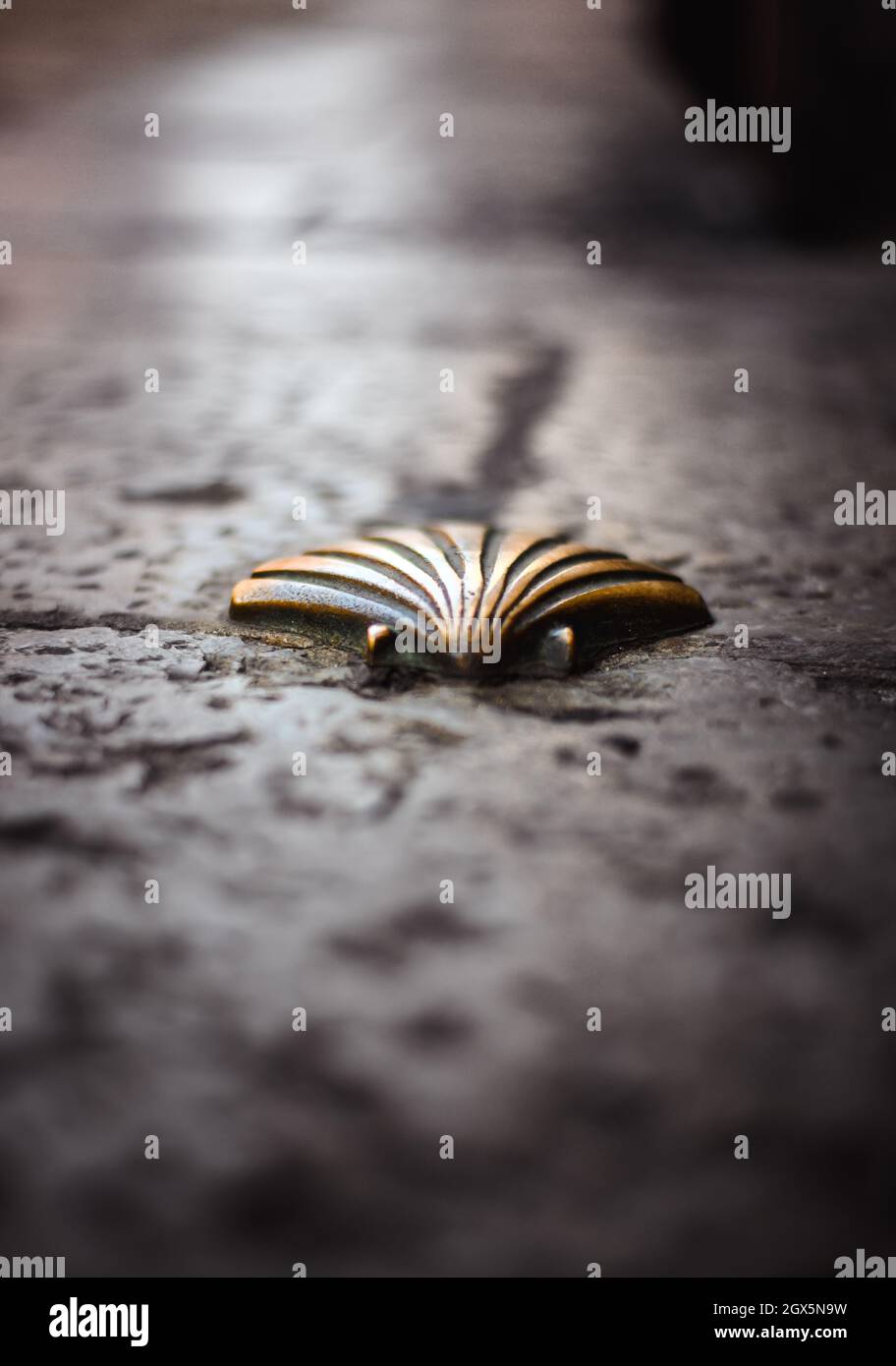 golden shell on the ground of the camino de santiago Stock Photo - Alamy