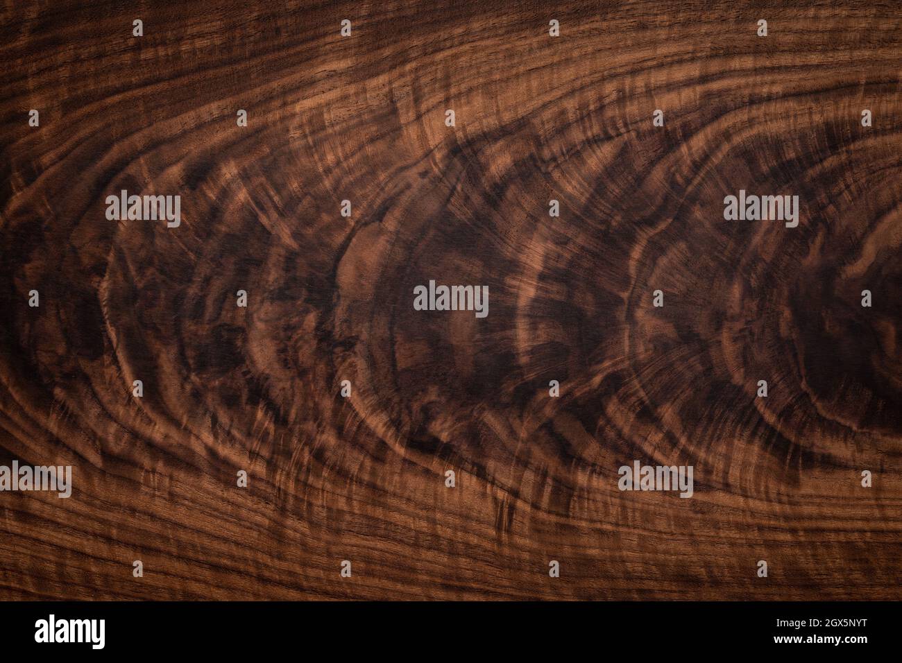 Walnut natural texture, texture elements, texture background Stock ...