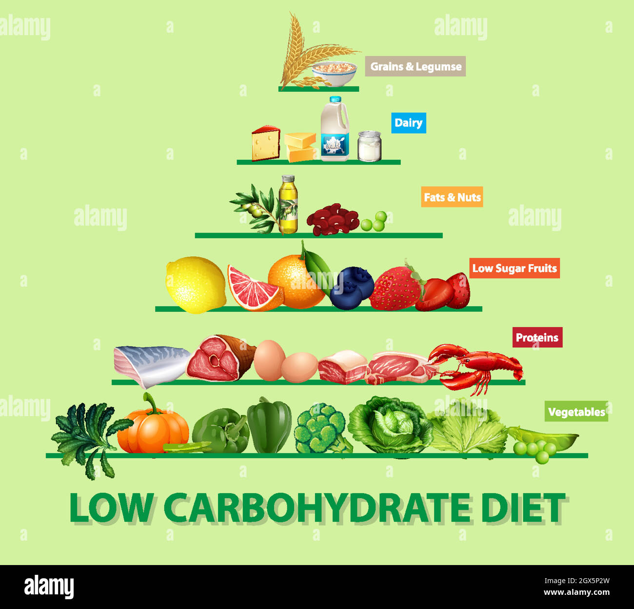 Low carbohydrate diet diagram Stock Vector Image & Art - Alamy