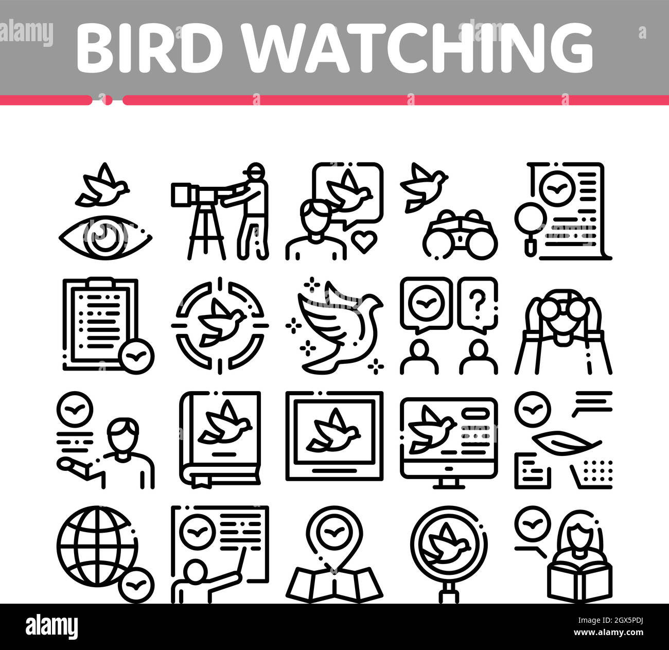 Bird Watching Tourism Collection Icons Set Vector Stock Vector Image ...