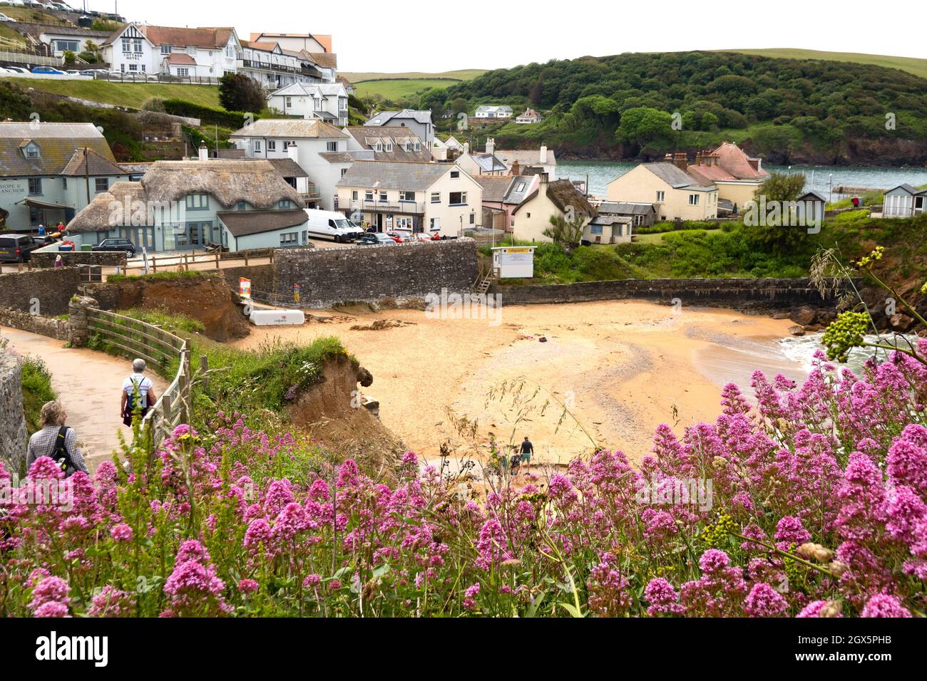 Hope Cove, South Devon Stock Photo - Alamy