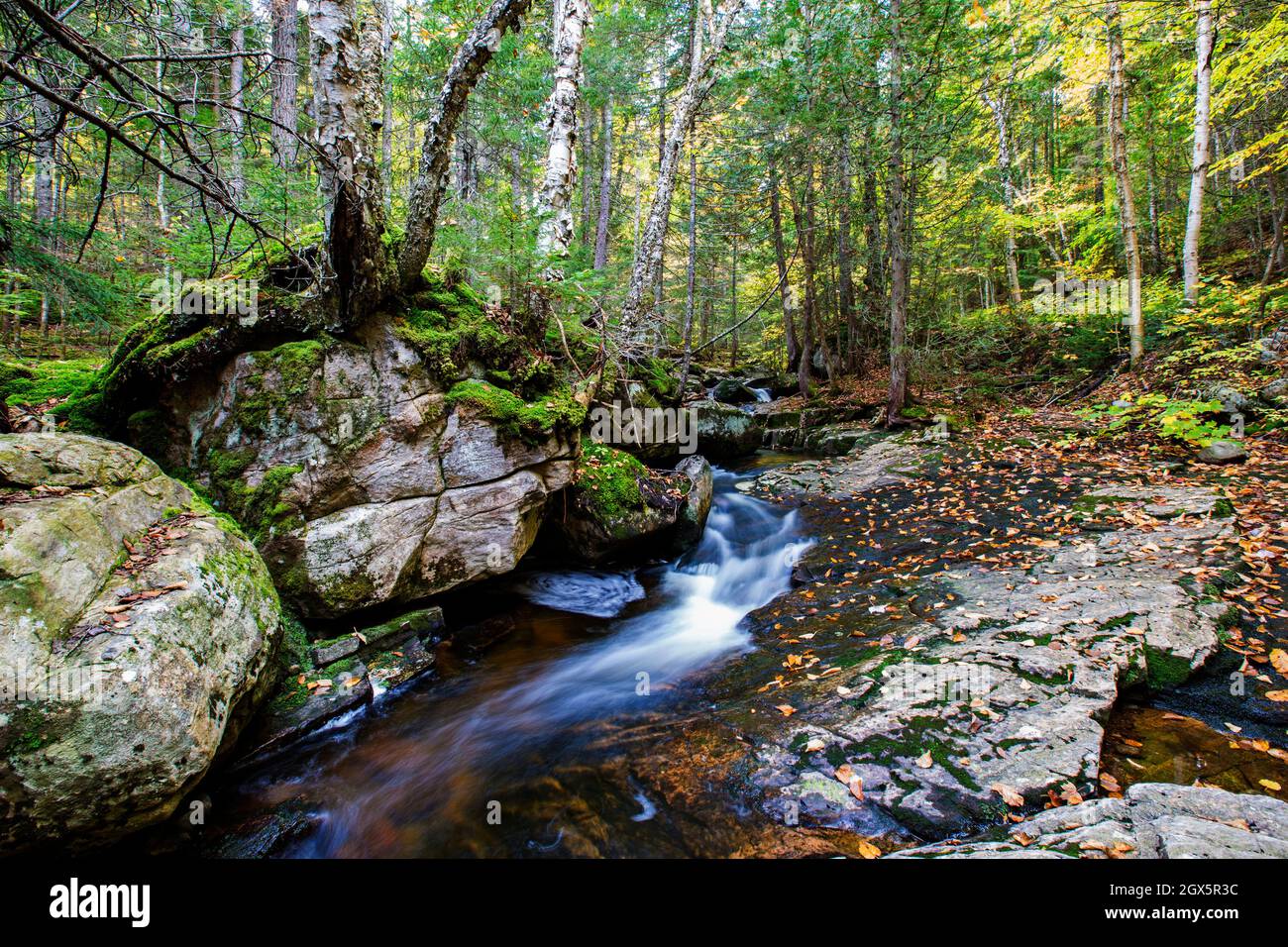 Colorful Canadian creek in Mont Tremblant national park Stock Photo - Alamy