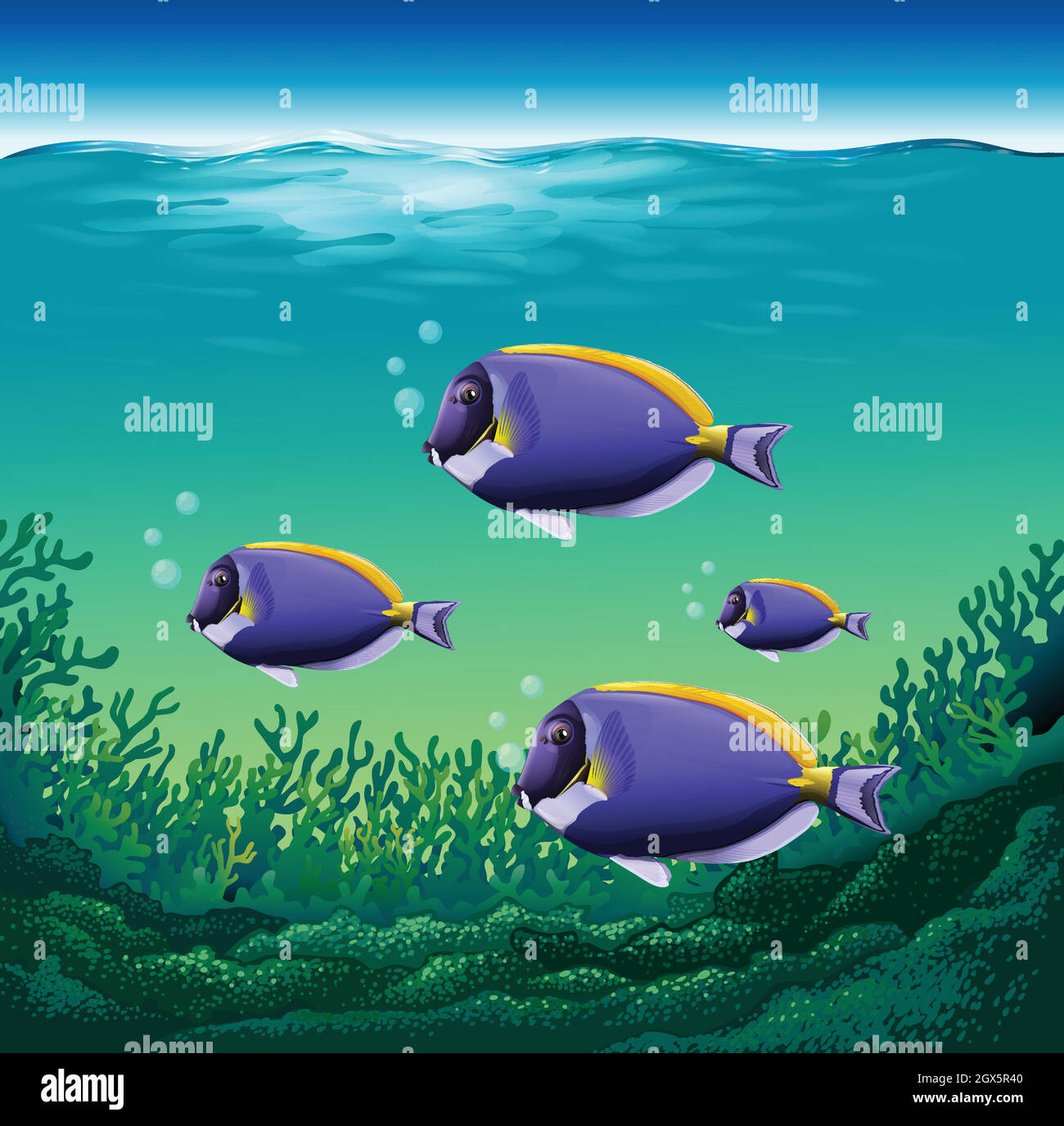 Scenic ocean creature Stock Vector Images - Alamy