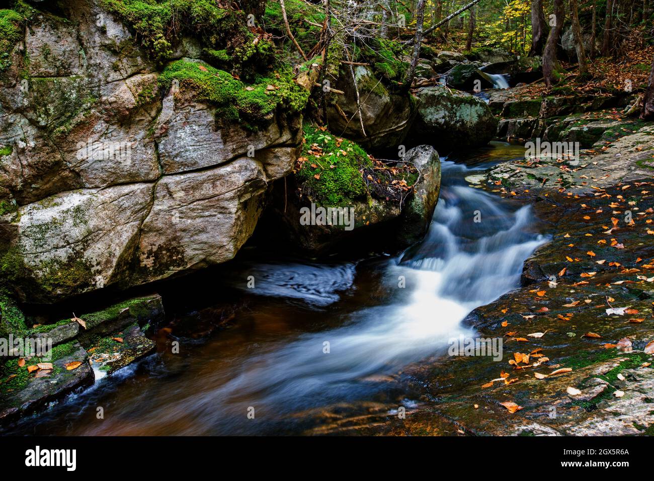 Colorful Canadian creek in Mont Tremblant national park Stock Photo - Alamy