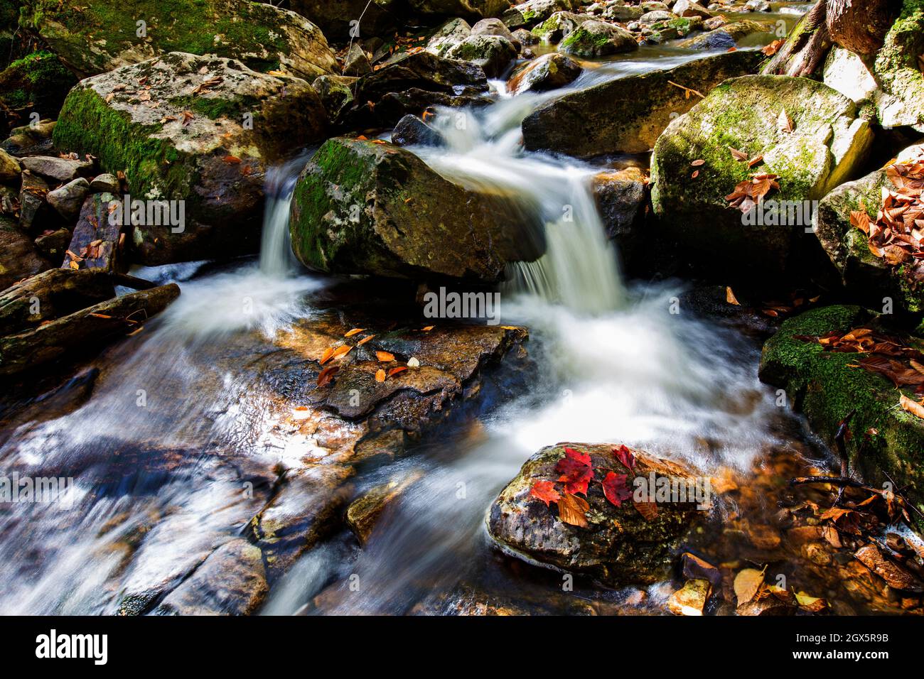 Colorful Canadian creek in Mont Tremblant national park Stock Photo - Alamy