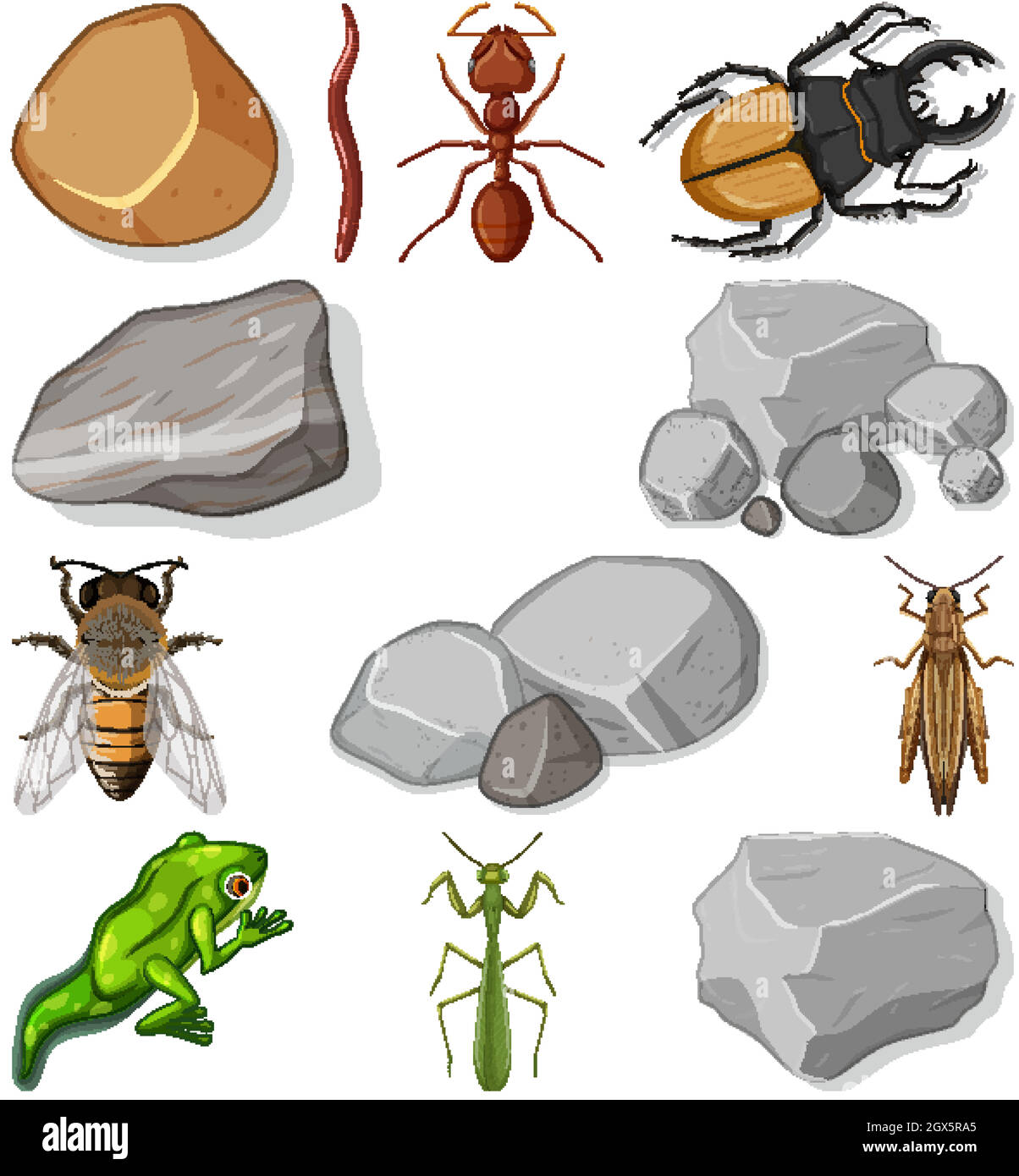 Different types of insect with nature elements Stock Vector Image & Art ...