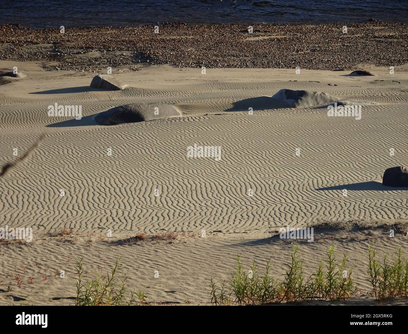 Sandy river bank, sand dunes. Harsh landscape Stock Photo - Alamy